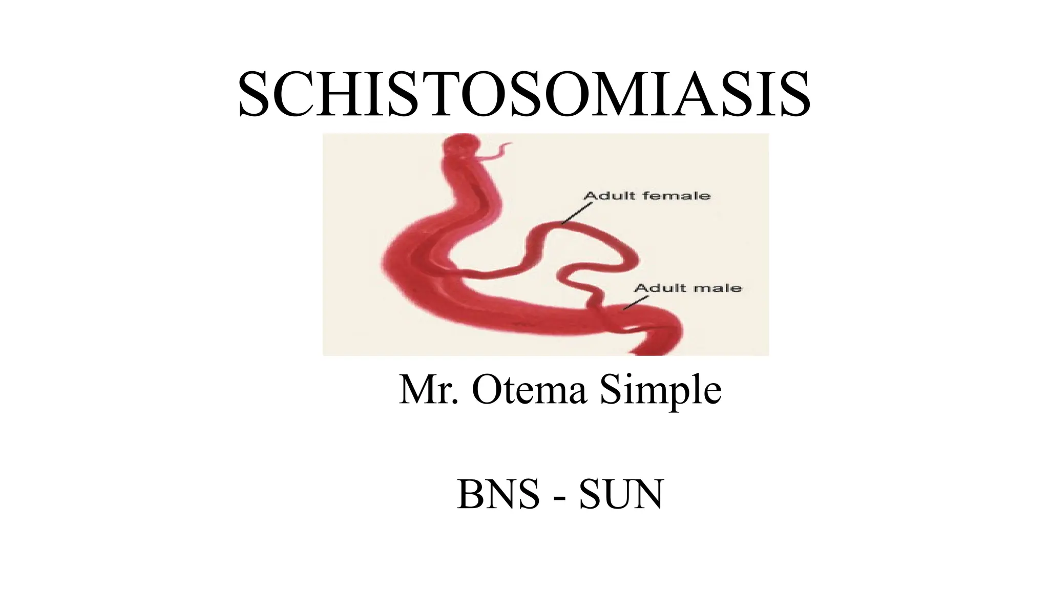 SCHISTOSOMIASIS.pptx