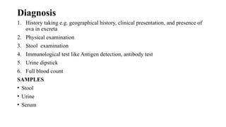 SCHISTOSOMIASIS.pptx