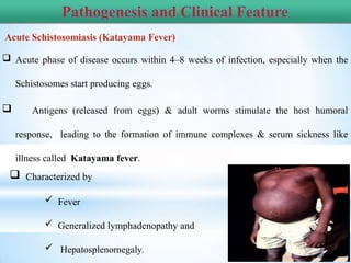 Schistosomiasis_Explaination in parasitology | PPTX