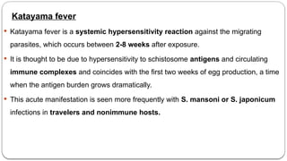 Schistosomiasis.pptx Schistosomiasis explanation | PPT