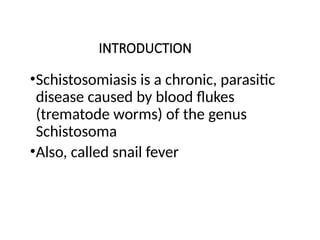 Schistosomiasis- COMMED GRP 14.6765756upptx | PPTX