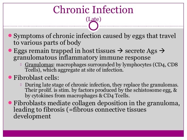 Genitourinary Schistosomiasis