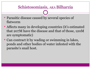 urologic aspects of schistosomiasis_97_0 | PPT