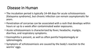 Schistosomiasis | PPTX