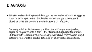 Schistosomiasis | PPTX