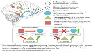 SCHIZOPHRENIA Disorder/ Brain Disorder.pdf