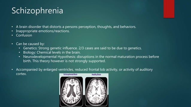 Schizophrenia and Donnie Darko - Geter | PPTX