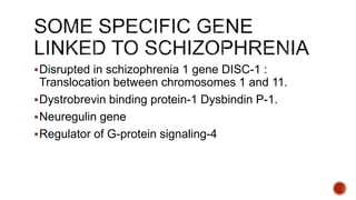 SCHIZOPHRENIA Epidemiology and Genetics.pptx | Brain and Nervous System ...