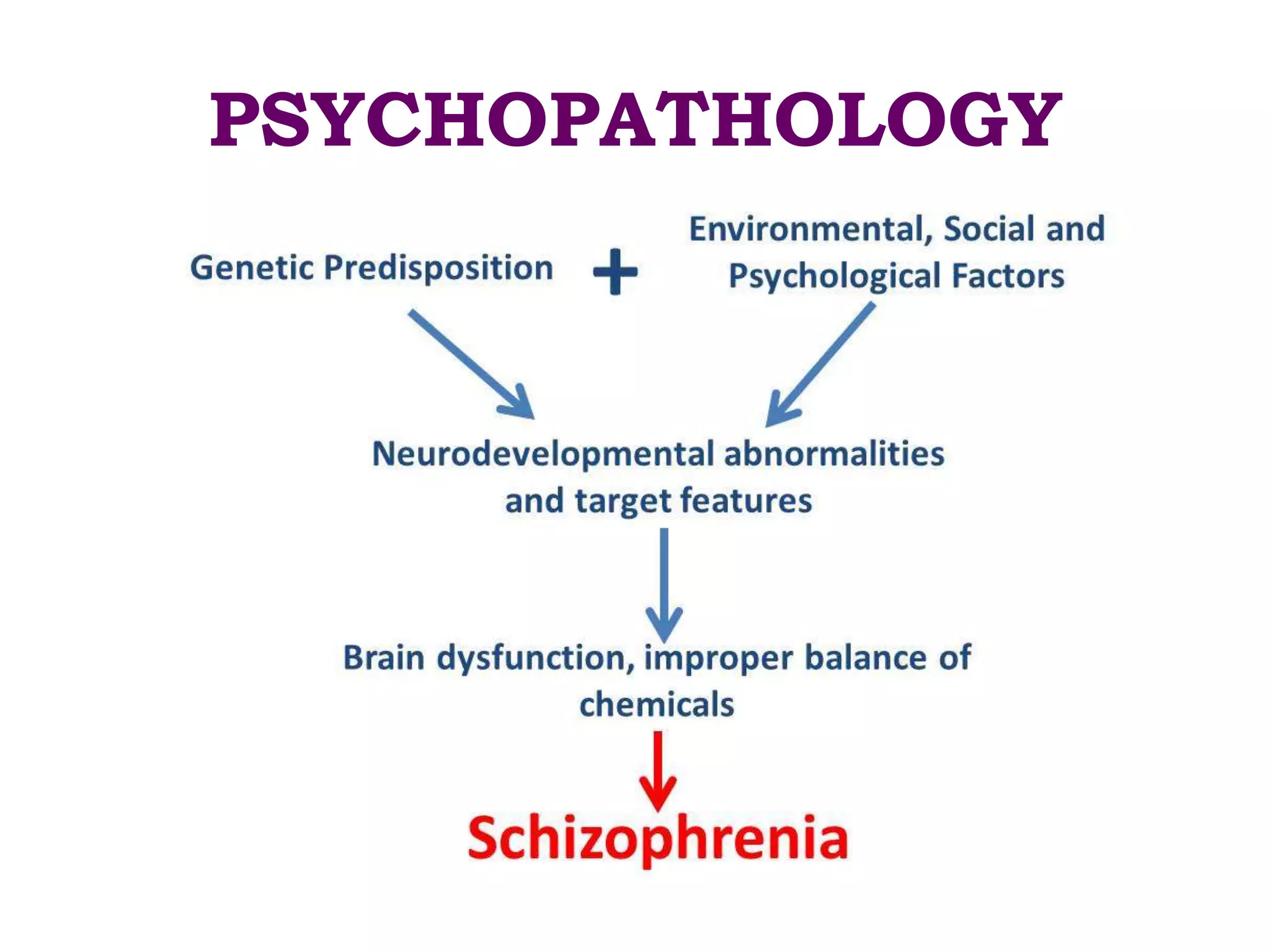 SCHIZOPHRENIA for B.Sc (Nsg).docx | Brain and Nervous System Disorders ...