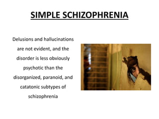 Simple Schizoprenia Overview | PPT
