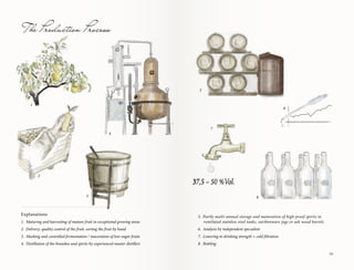 Schladerer Cocktail Book I English Version I made by Small Big Brands | PDF