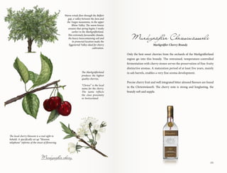 Schladerer Cocktail Book I English Version I made by Small Big Brands | PDF