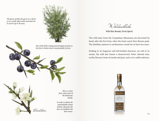 Schladerer Cocktail Book I English Version I made by Small Big Brands | PDF