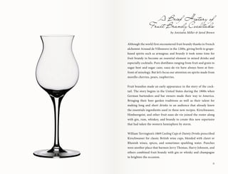 Schladerer Cocktail Book I English Version I made by Small Big Brands | PDF