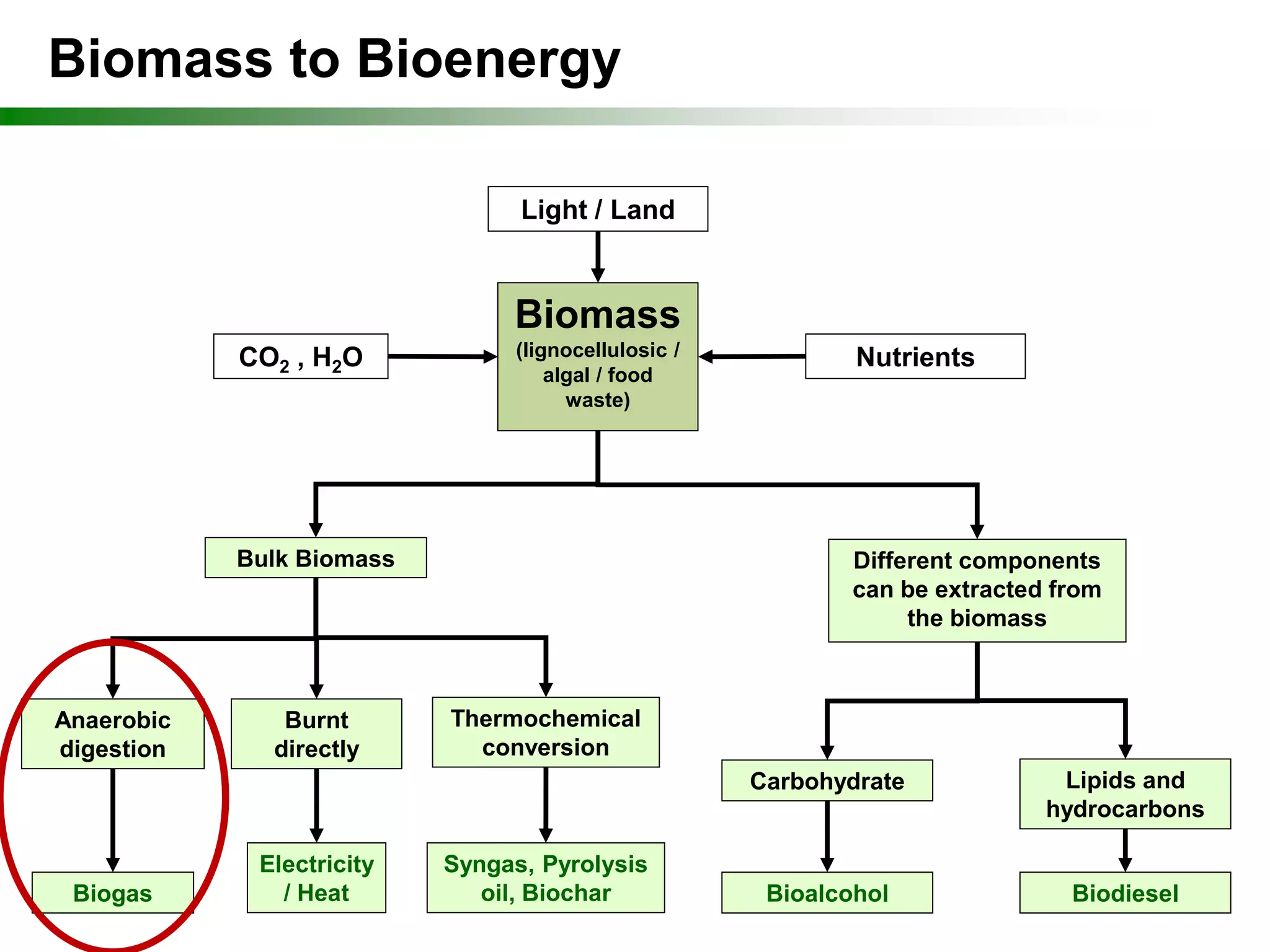 Cambridge | Jan-14 | Bioenergy from Plants and Algae: Biomass and ...