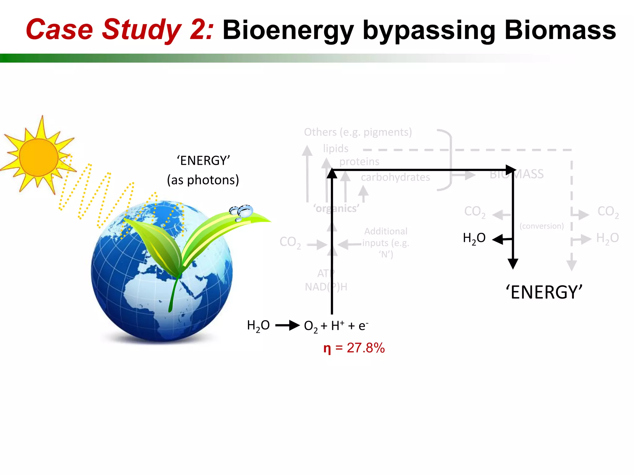 Cambridge | Jan-14 | Bioenergy from Plants and Algae: Biomass and Bioenergy - pt 2 | PDF