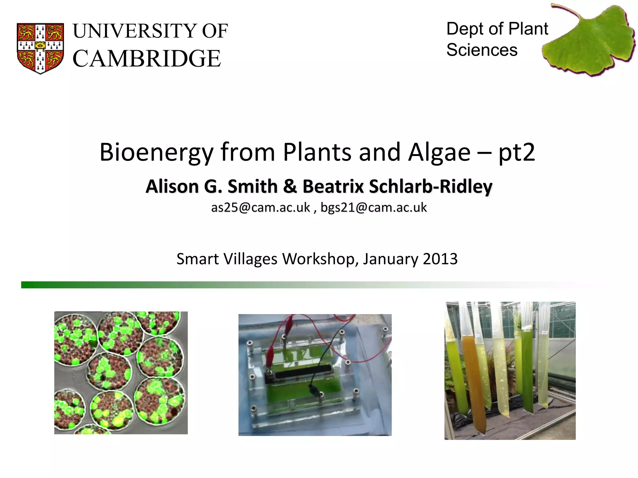 Cambridge | Jan-14 | Bioenergy from Plants and Algae: Biomass and ...