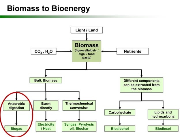 Cambridge | Jan-14 | Bioenergy from Plants and Algae: Biomass and Bioenergy - pt 2 | PDF