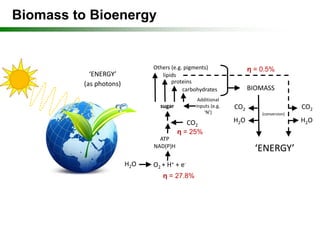 Cambridge | Jan-14 | Bioenergy from Plants and Algae: Biomass and ...