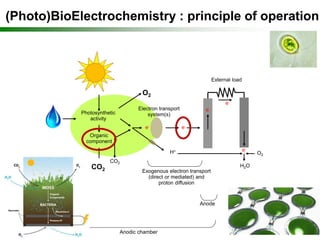 Cambridge | Jan-14 | Bioenergy from Plants and Algae: Biomass and ...