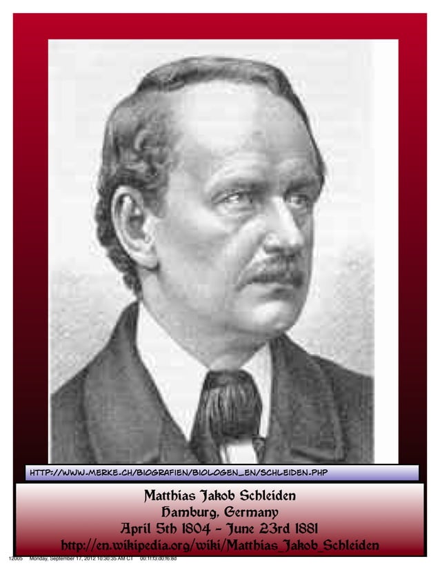 Schleiden project | PDF