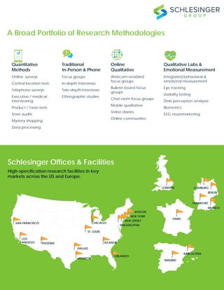 Schlesinger Group - You Need Insights. We Have Solutions. | PDF