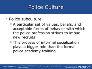 Pearson And Types Of Police Corruption Examples