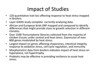 Adapting Chicken Production to Climate Change through Breeding | PPTX