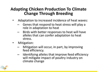 Adapting Chicken Production to Climate Change through Breeding | PPTX