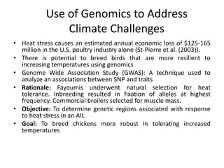 Adapting Chicken Production to Climate Change through Breeding | PPTX