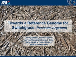 Towards a Reference Genome for Switchgrass (Panicum virgatum) - Schmutz ...