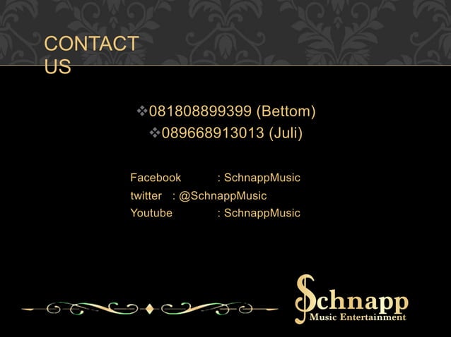 Schnapp music entertainment | PPTX