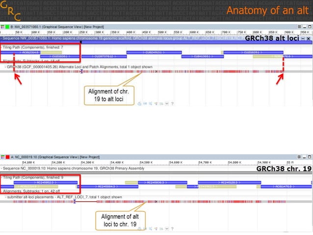 Explaining the assembly model | PPTX