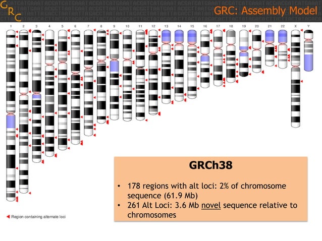 Explaining the assembly model | PPTX