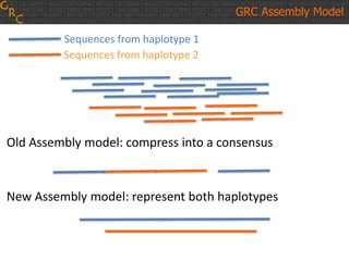 Explaining the assembly model | PPTX