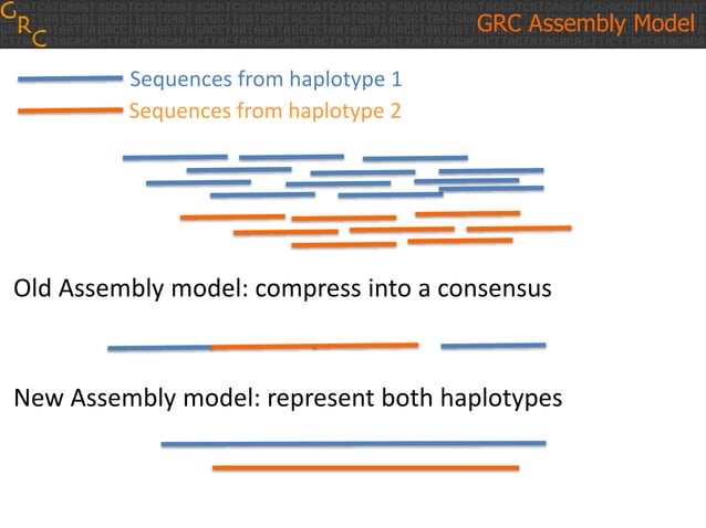 Explaining the assembly model | PPT
