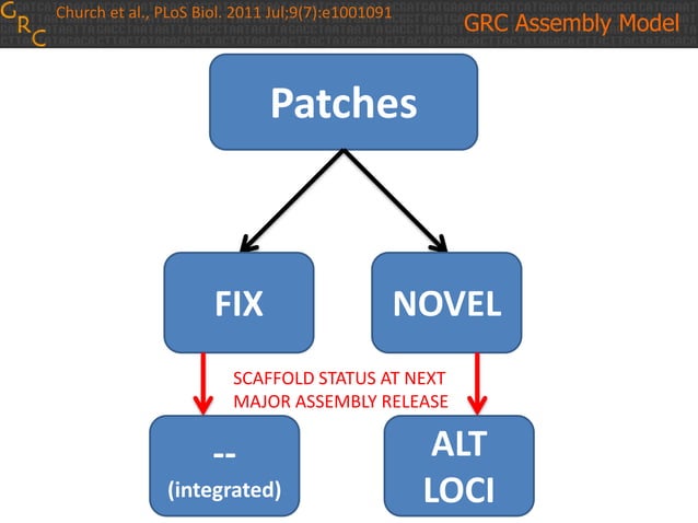 Explaining the assembly model | PPTX