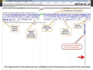Explaining the assembly model | PPTX