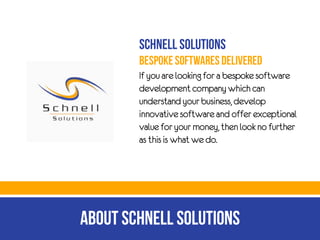 Custom Software Vs. Packaged Software | PDF