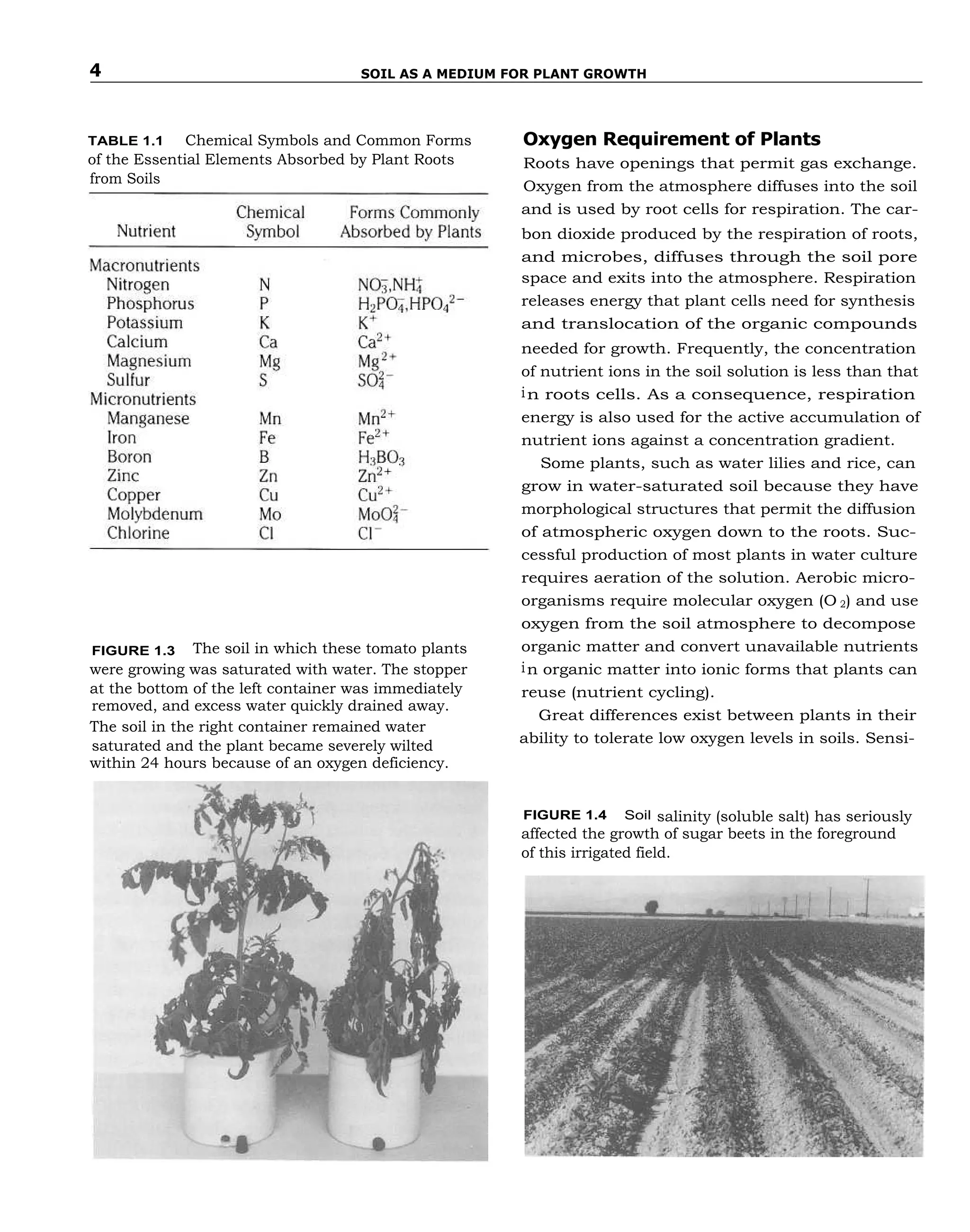 [Scholar.geology physical geography-botany] fundamentals of soil ...