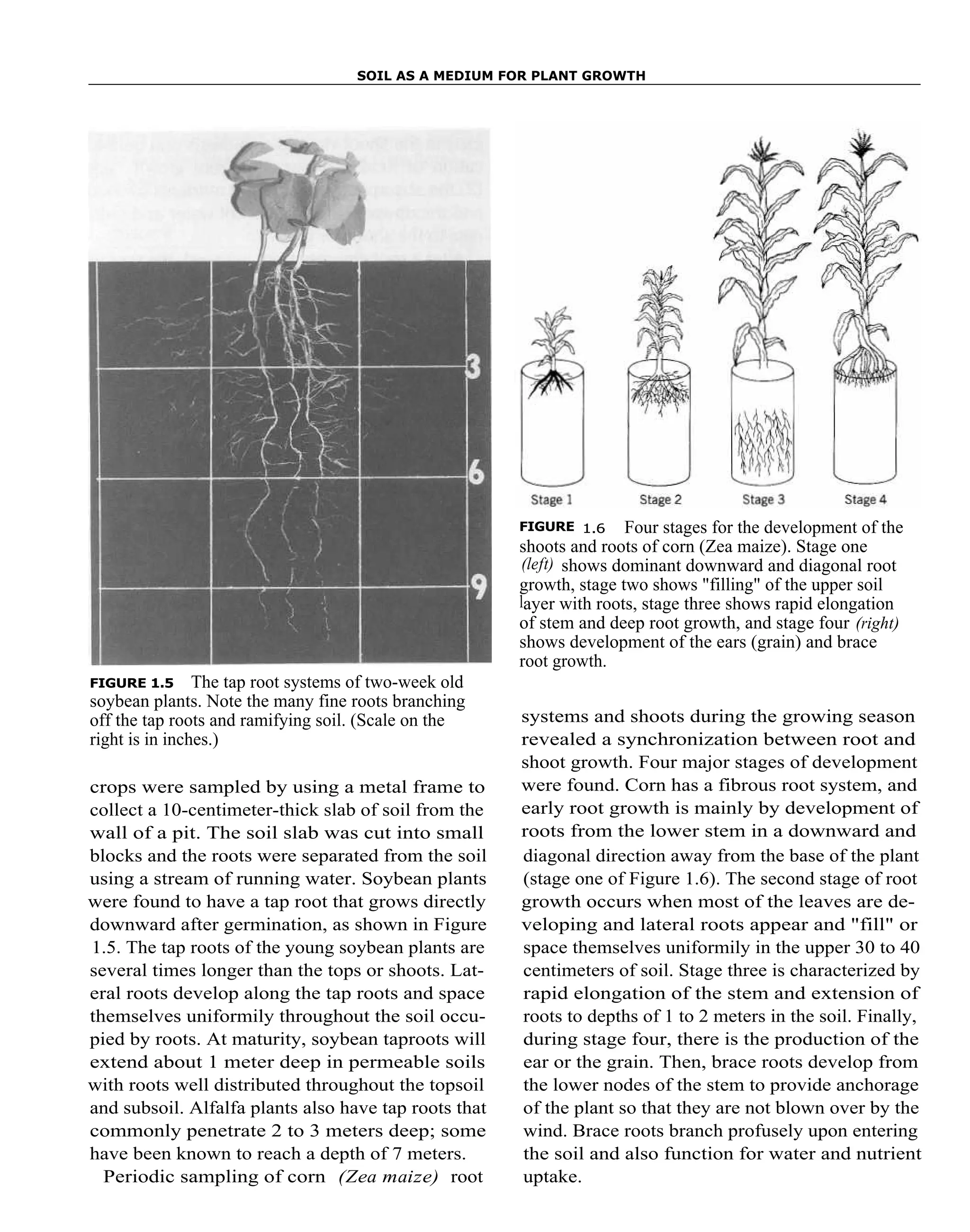 [Scholar.geology physical geography-botany] fundamentals of soil ...