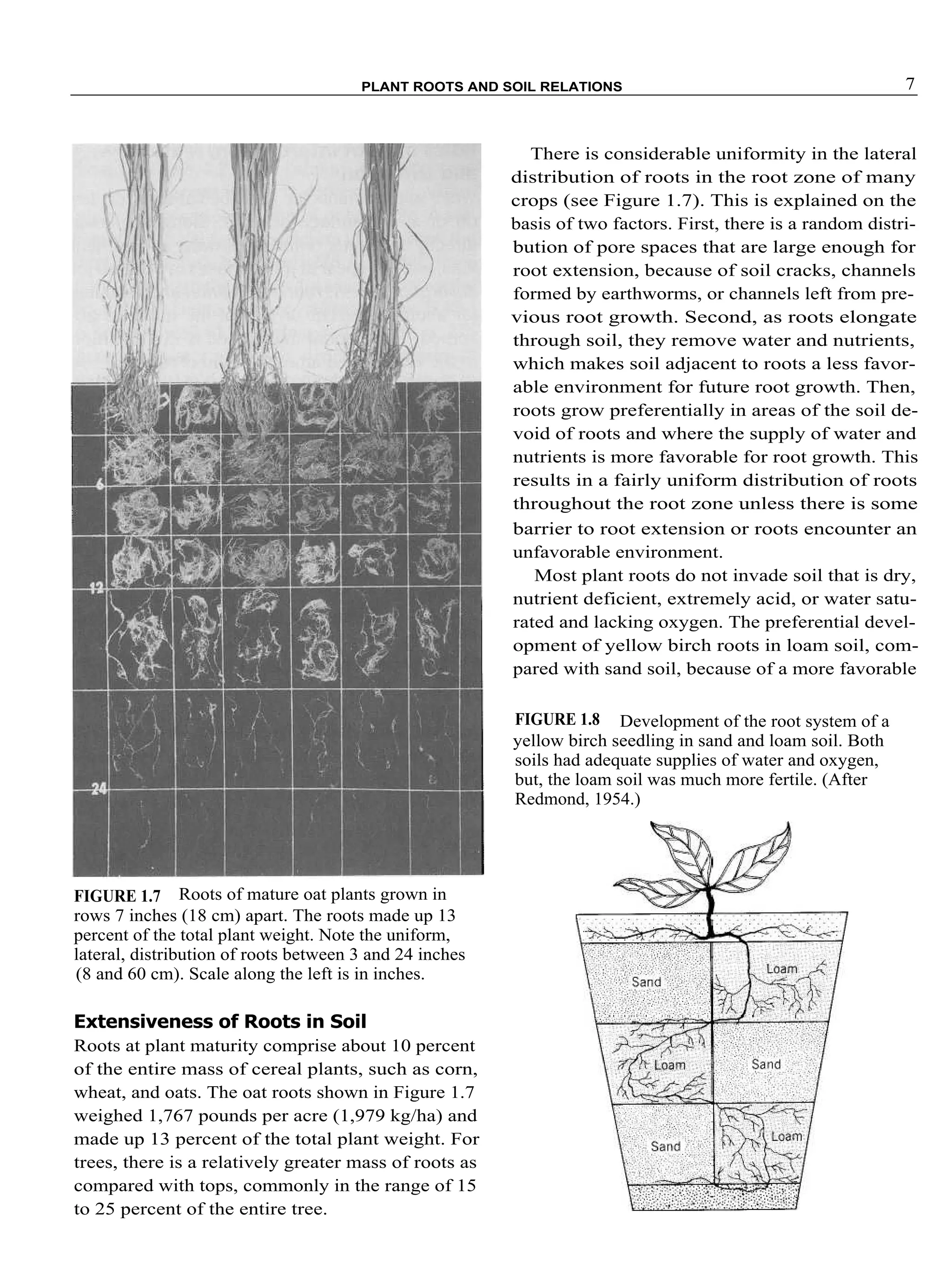 [Scholar.geology physical geography-botany] fundamentals of soil ...