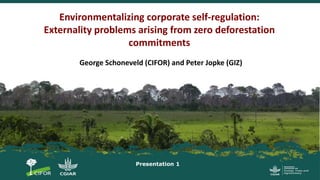 Environmentalizing corporate self-regulation: Externality problems arising from zero ...