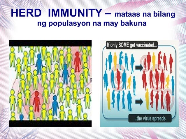School-Based-Immunization-Program.pptx