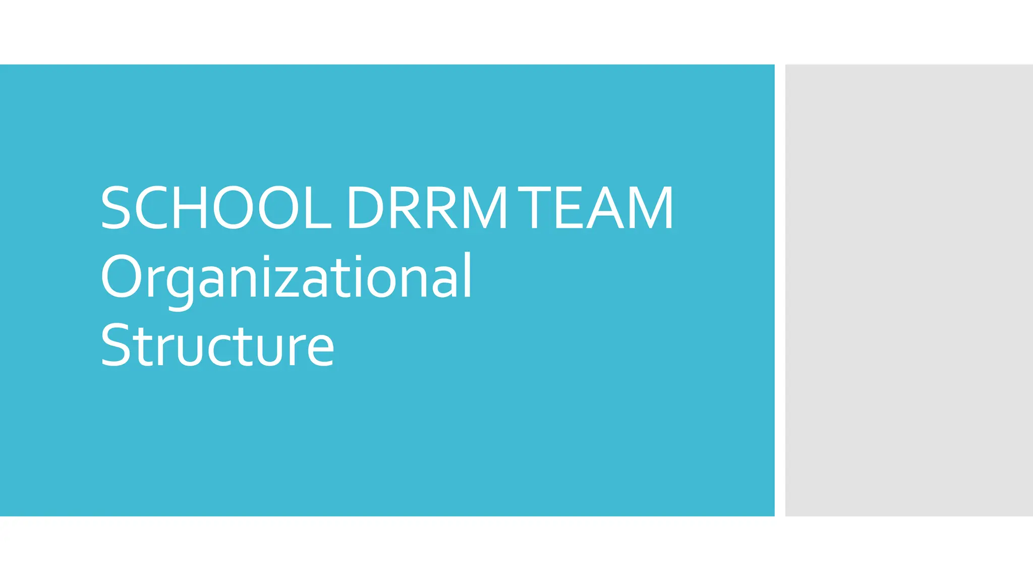 SCHOOL-DRRM-TEAM.pptx