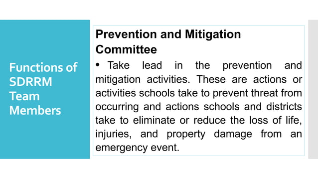 SCHOOL-DRRM-TEAM.pptx