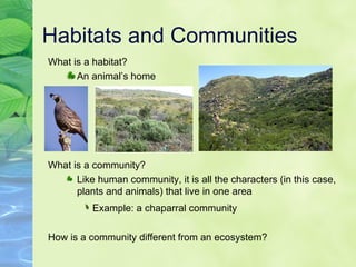 Acterra\'s Habitat Restoration PPT | PPT