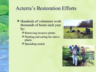 Acterra\'s Habitat Restoration PPT | PPT