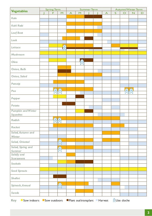 Creating a Term Time Harvest Plan ~ Teacher Guide, Organic Gardening