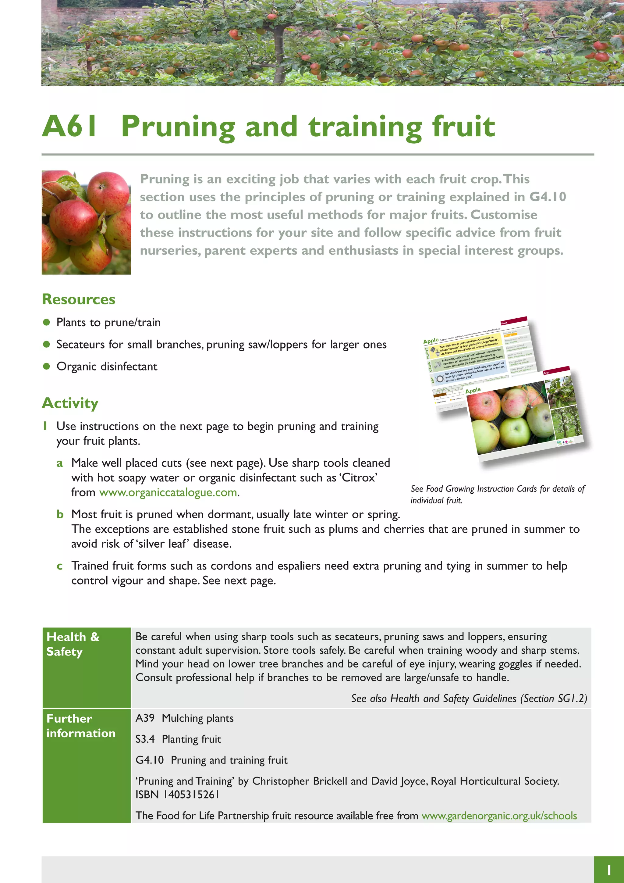 Pruning and Training Fruit ~ Teacher Guide, Organic Gardening | PDF ...